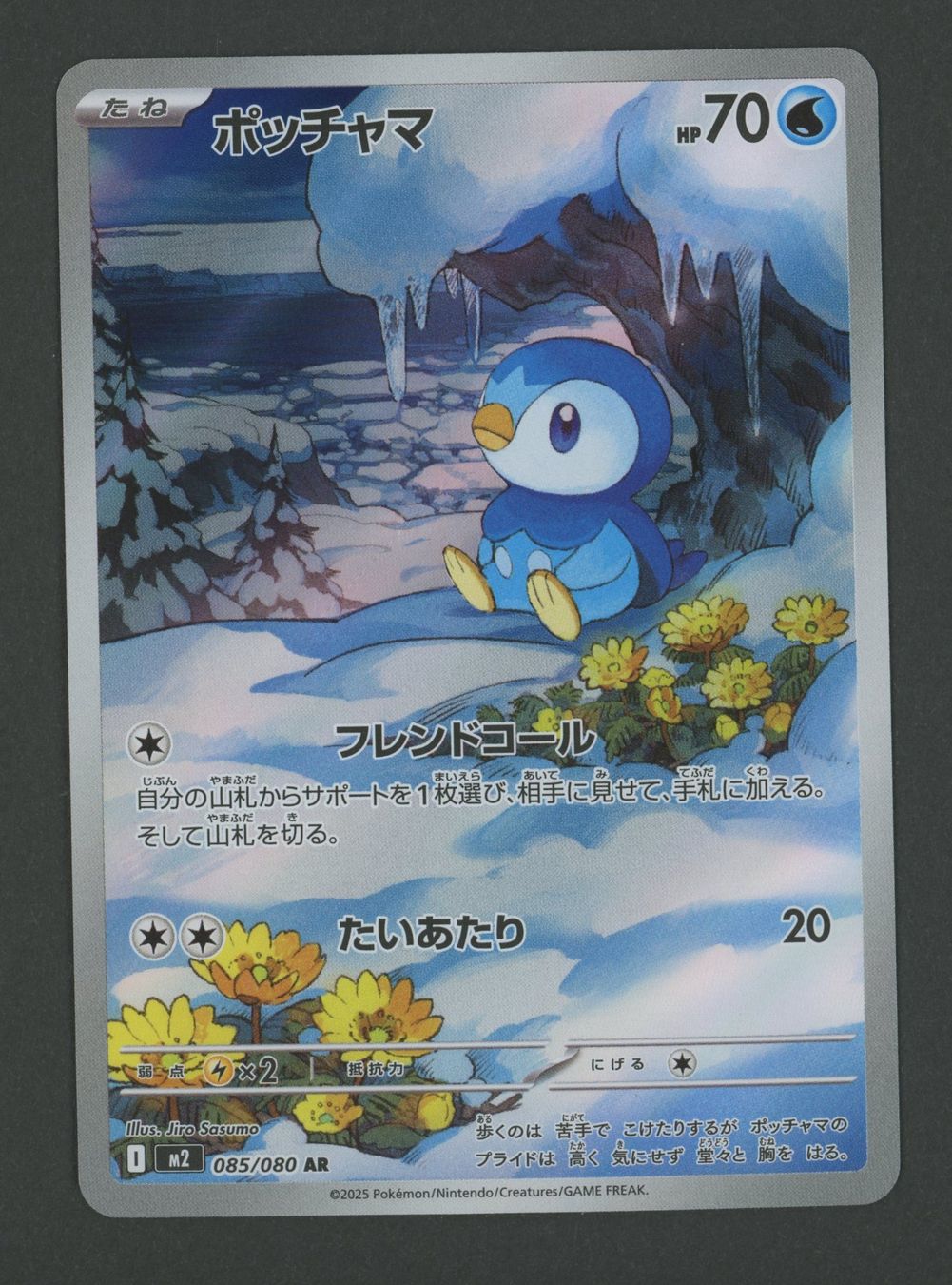 Piplup AR 085/080 M2 JAP ab 1.- (Gebraucht) in Rupperswil für CHF 1 ...