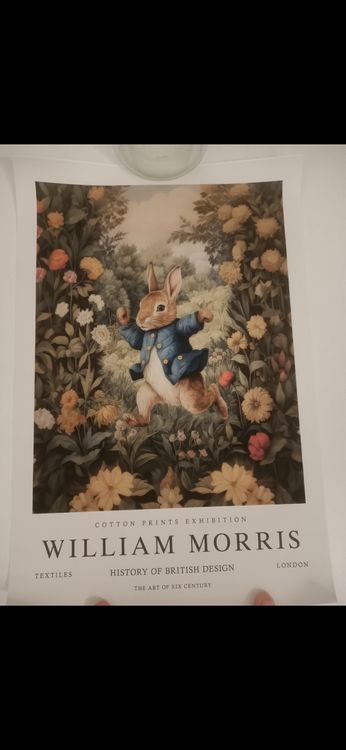 Affiche William Morris pierre lapin neuf (Neu (gemäss Beschreibung)) in ...