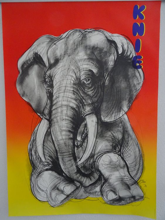 Circus Knie 1975: Elefant - Erni Hans - Rentsch, Trimbach (Gebraucht) in Münchwilen TG für CHF ...