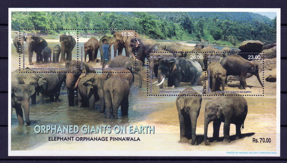 Elefanten Block Sri Lanka ** (Neu (gemäss Beschreibung)) in Ebikon für ...