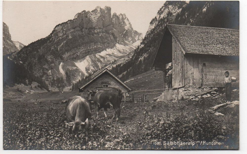 ALPSTEIN Sämbtiseralp, Hundstein - Bauer a. d. Alp mit Kühen (Neu ...