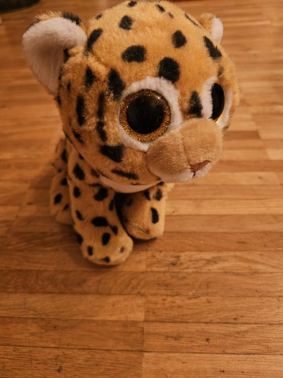 Glubschi Leopard (Neu (gemäss Beschreibung)) in Dübendorf für CHF 2 ...