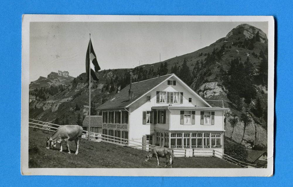 Hotel Edelweiss Rigi Staffelhöhe 1929 Kaufen Auf Ricardo