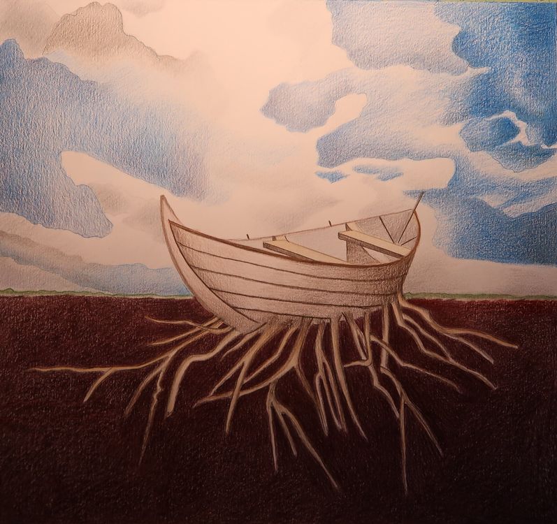 Wurzeln des Schiffes (ship's roots) (Neu und originalverpackt) in Horw ...