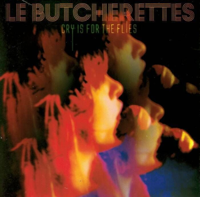 Les Butcherettes - Cry is for the flies (CD) (Gebraucht) in Winterthur ...
