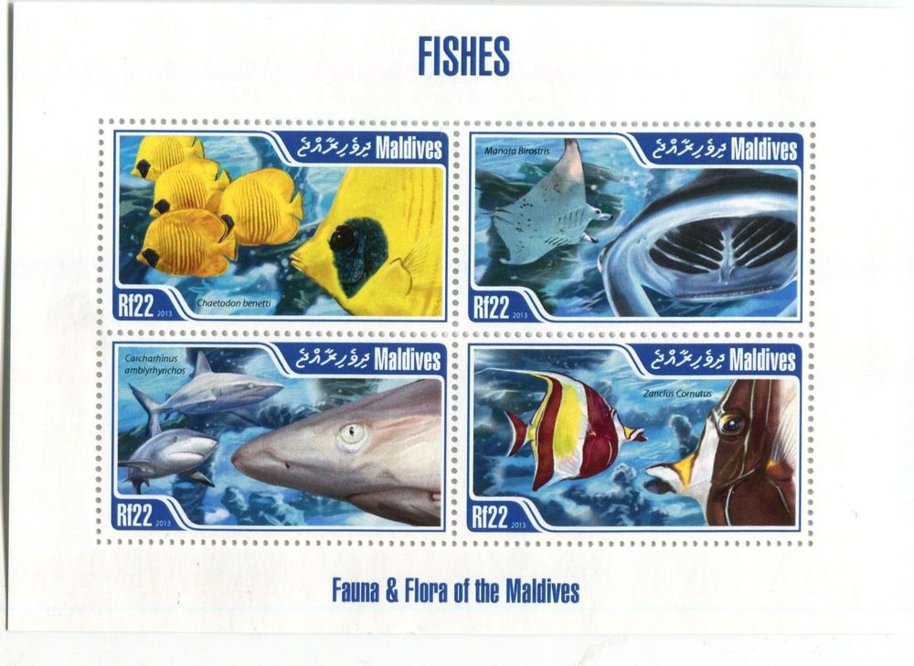 Block "Haie, Rochen, Fische". Malediven. (Neu und originalverpackt) in ...