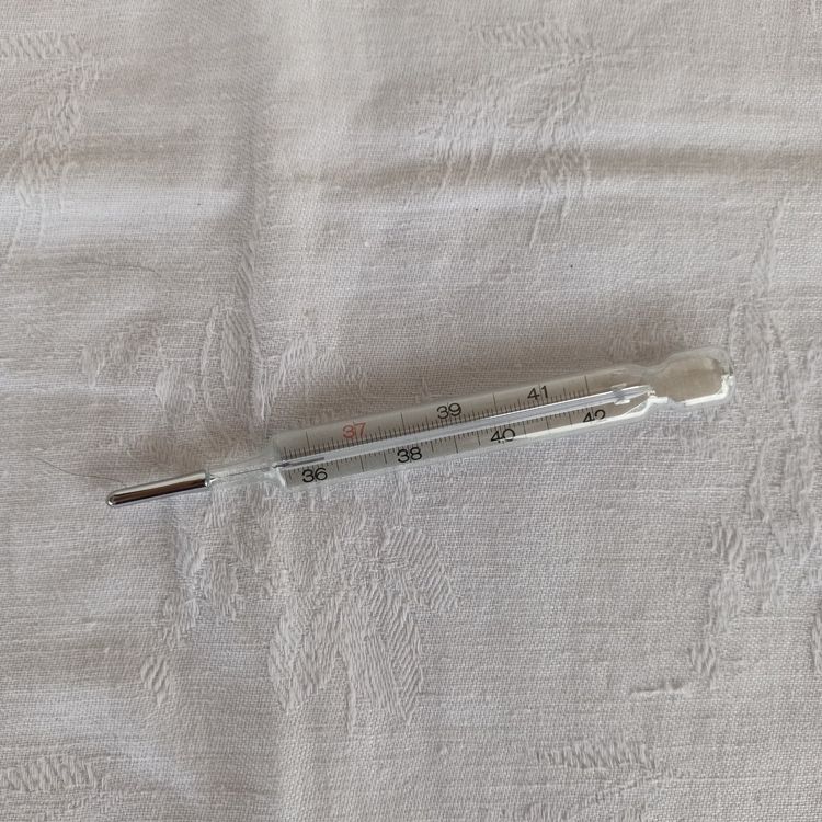 Vintage Fiebermesser / Fieberthermometer | Kaufen auf Ricardo