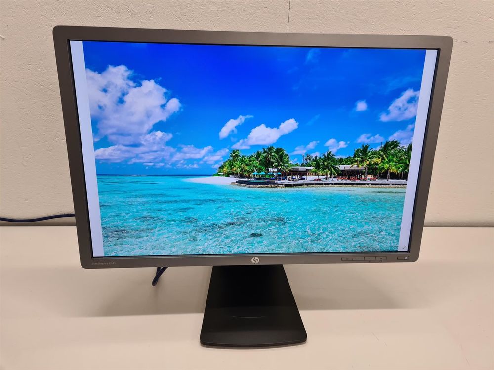 HP EliteDisplay E241i / Monitor (Gebraucht) in Niederdorf für CHF 79 ...