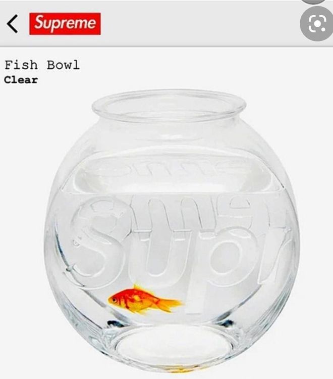 Supreme fish bowl - aquarium Glas | Kaufen auf Ricardo