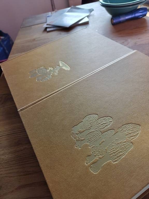 Zwei Antike Pilzbücher 130 Seiten (Gebraucht) in Zürich für CHF 35 ...