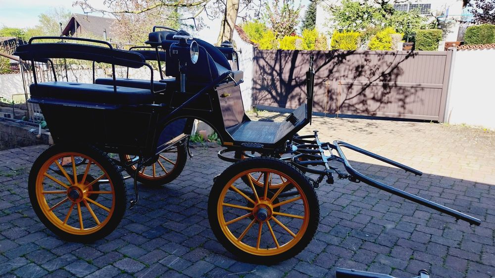 Schöne Kutsche, Wagonette von Stöckli Kutschenbau (Gebraucht) in ...