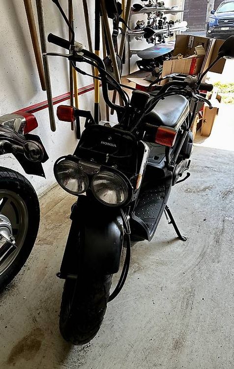 Honda nps50 zoomer (D'occasion) à Oppens pour CHF 1400 – retrait ...