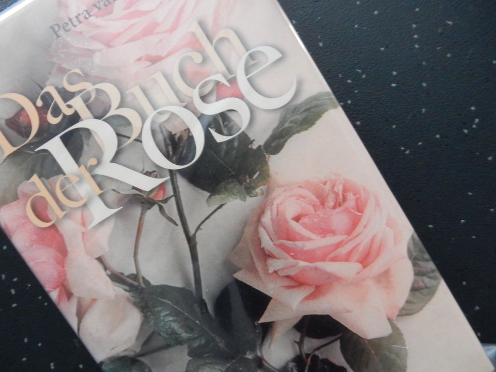Das Buch der Rose - Petra van Cronenburg - Parthas Verlag (Gebraucht ...