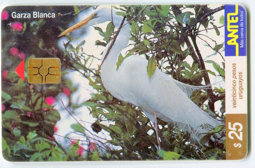Telefonkarte "Silberreiher". Uruguay (Gebraucht) in Basel für CHF 1 – mit Lieferung auf Ricardo ...