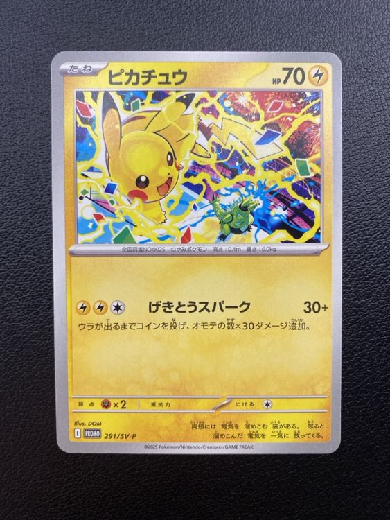 Pikachu 291/SV-P Gym Promo event 2025 Japan Pokemon (Neu (gemäss ...