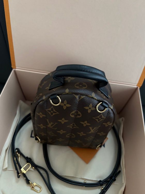 💋 Louis Vuitton Rucksack Palm Springs Mini MNG Canvas💋 (Neu (gemäss ...