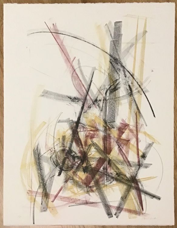 Paul SUTER (1926-2009) Sehr Seltener Lithographie Handsignie (Gebraucht ...