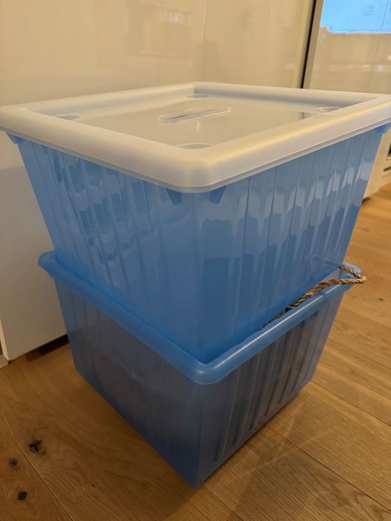 2 blaue Rollbehälter mit weissem Deckel, Vessla, Ikea, (Gebraucht) in ...