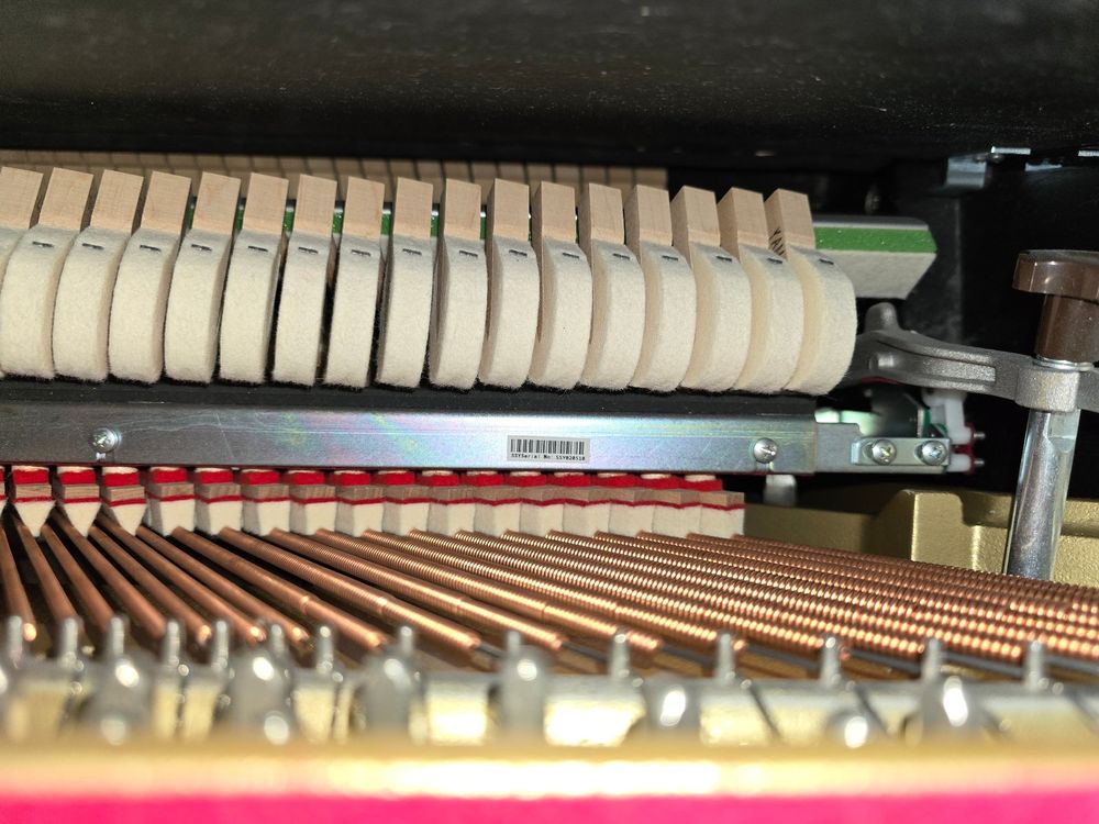 Yamaha B1 SG2 Silent Piano - schwarz poliert | Kaufen auf Ricardo