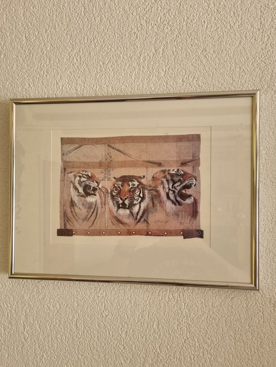 Rolf Knie Bild | Kaufen auf Ricardo