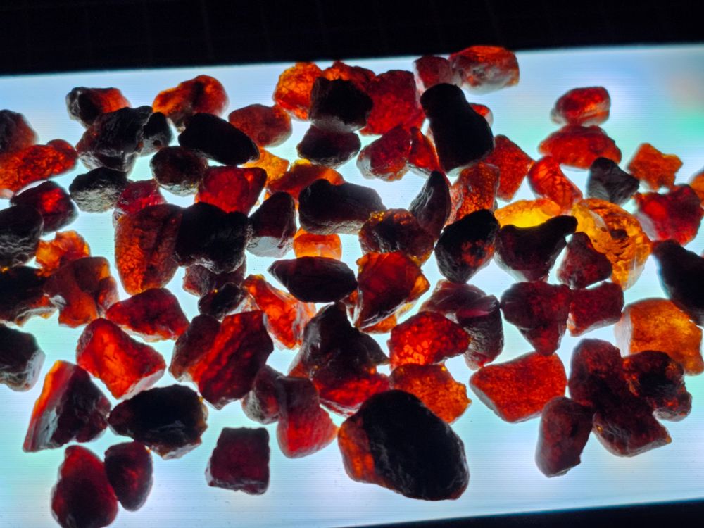 25 gr Rohbernstein lot baltisch roh Bernstein natur rot (Neu (gemäss ...