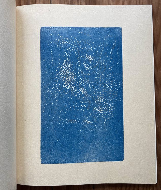 Franz Gertsch die Kunst liegt in der Natur 1994 Müller | Kaufen auf Ricardo