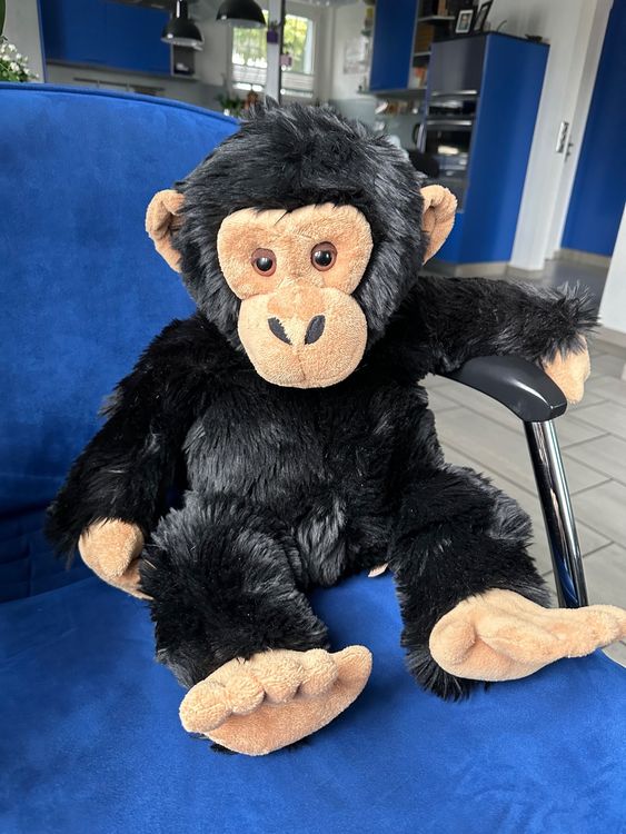 Keel Toys Plüschaffe Schimpanse, 40 cm (Gebraucht) in Niedergösgen für ...