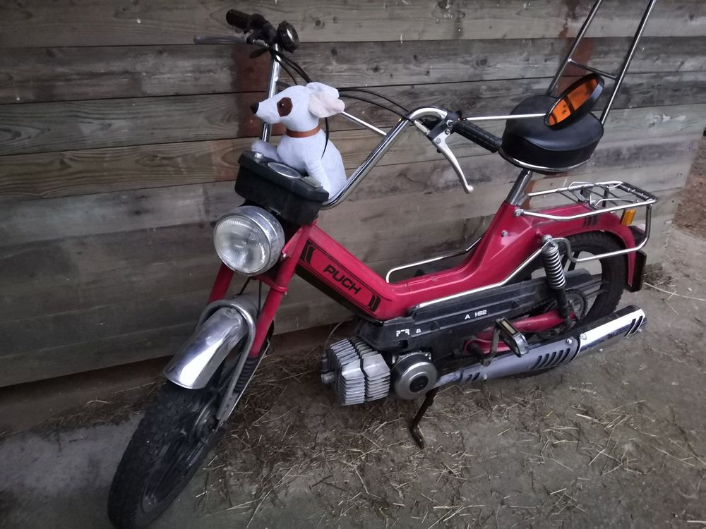 Puch Mofa super Zustand | Kaufen auf Ricardo