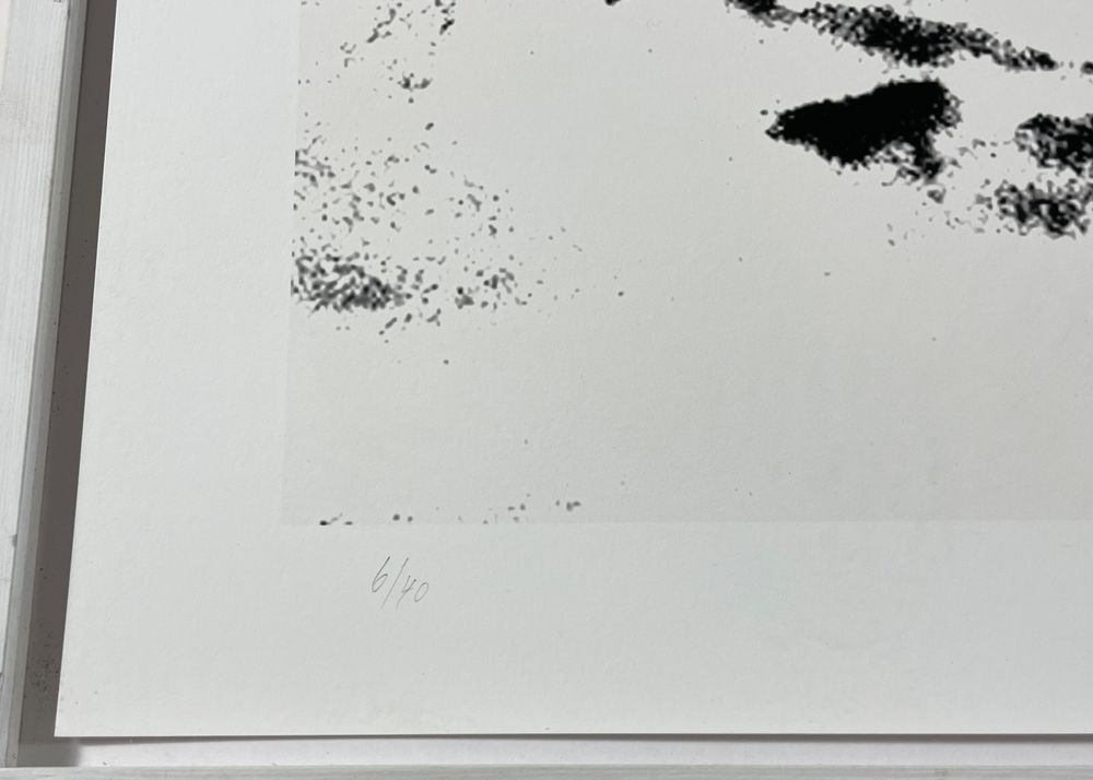 Annelies Strba (1947) Fotografie Handsigniert (Gebraucht) in Root für CHF 355 – mit Lieferung ...