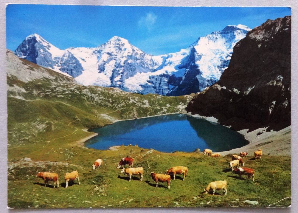 Berner Oberland, Eiger-Mönch-Jungfrau (Gebraucht) in Fétigny für CHF 1 – mit Lieferung auf ...