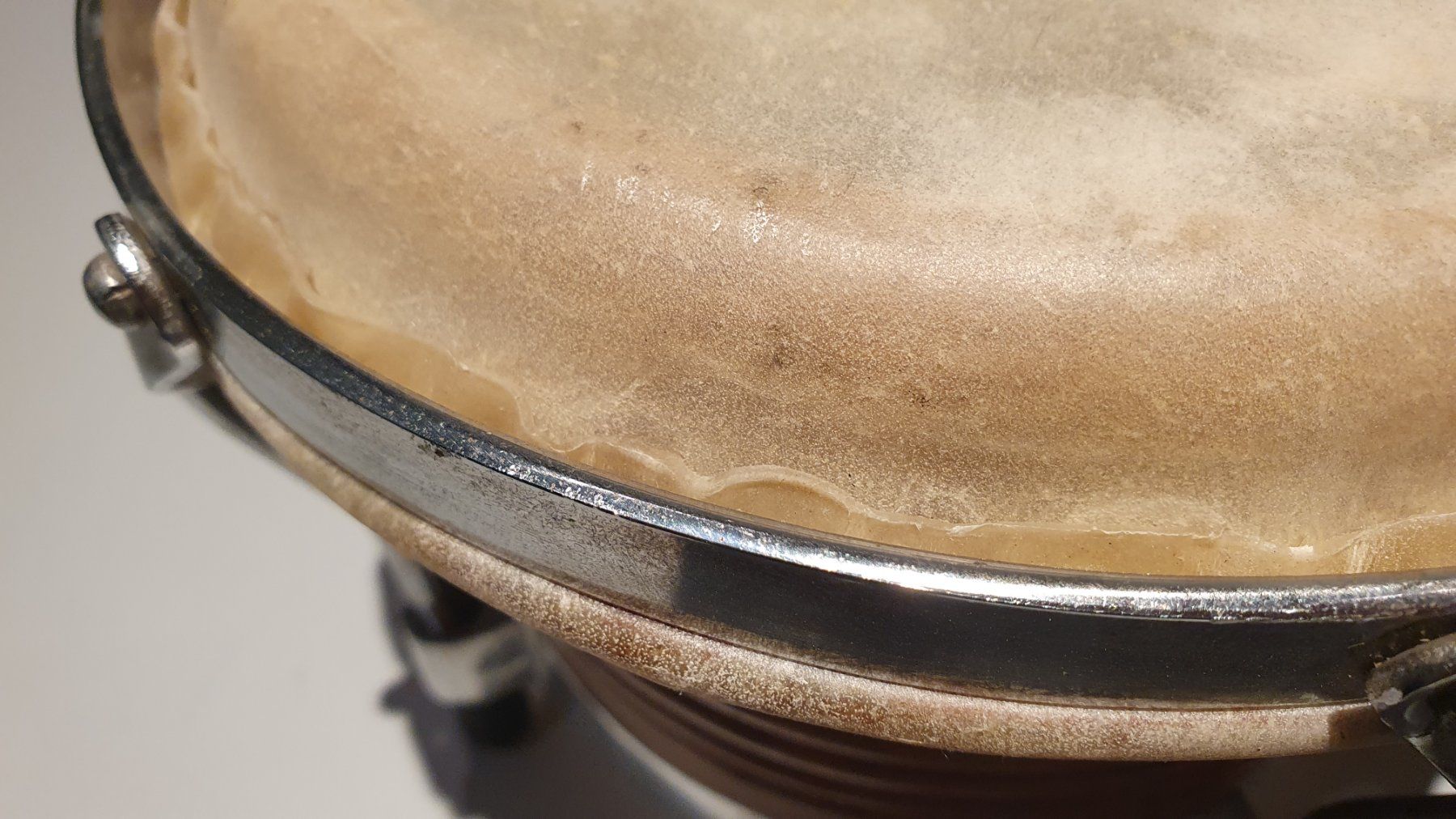 Gut erhaltene Congas / Bongos Schalloch Percussion (Gebraucht) in Wil ...