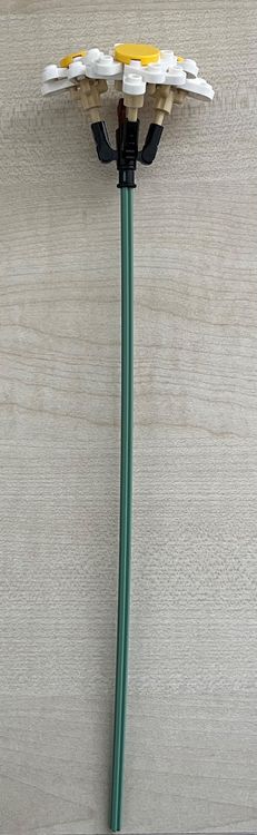 Lego Botanical - Daisy (Gebraucht) in Hirschthal für CHF 0.5 – mit ...