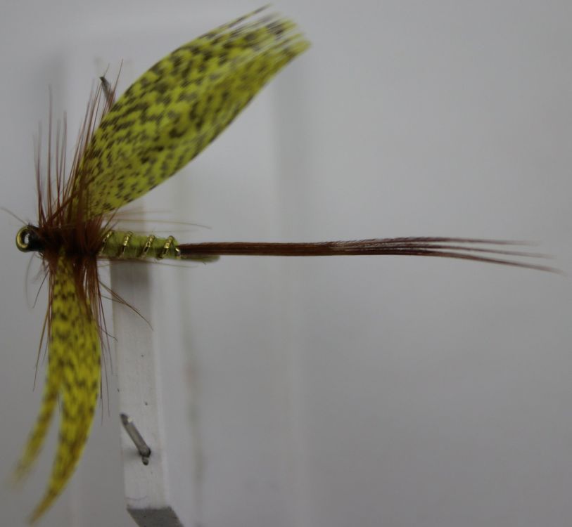 Yellow Drake Mayfly | Kaufen auf Ricardo
