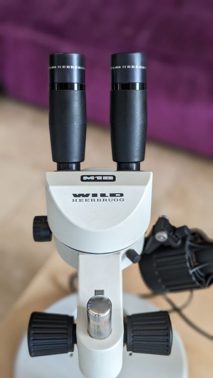 Swiss Stereo Microscope Wild Heerbrugg M1B (Gebraucht) in Concise für ...