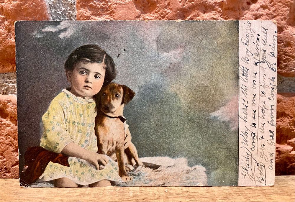 1905 - Antike Foto AK Kind - Mädchen mit Hund aus England (Gebraucht) in Root für CHF 1 – mit ...