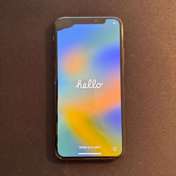 Apple iPhone X 256GB - Space Grey | Kaufen auf Ricardo