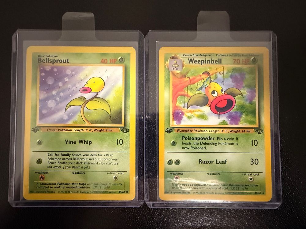 1. Edition Weepinbell & Bellsprout Jungle 1999 (Gebraucht) in Luzern ...