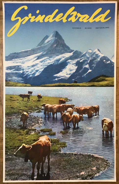 Grindelwald Grosse Plakat (Gebraucht) in Root für CHF 40 – mit Lieferung auf Ricardo kaufen