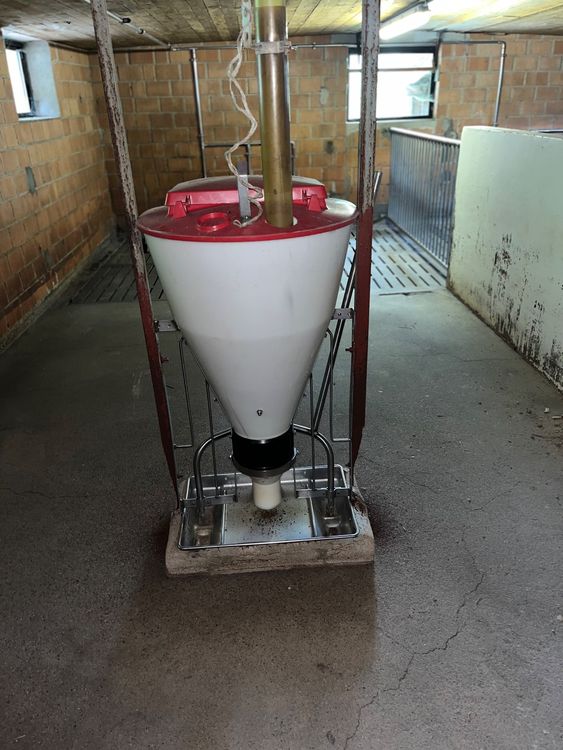 Futterautomat für Schweine | Kaufen auf Ricardo