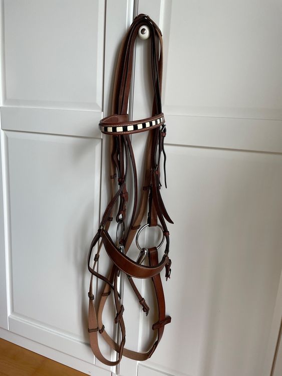 Hannoveranischer Zaum | Kaufen auf Ricardo