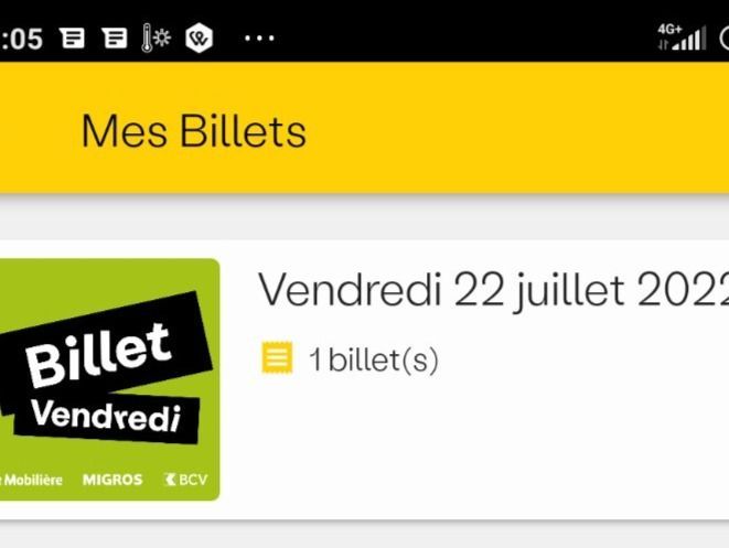 Billet Paléo vendredi 22 | Kaufen auf Ricardo