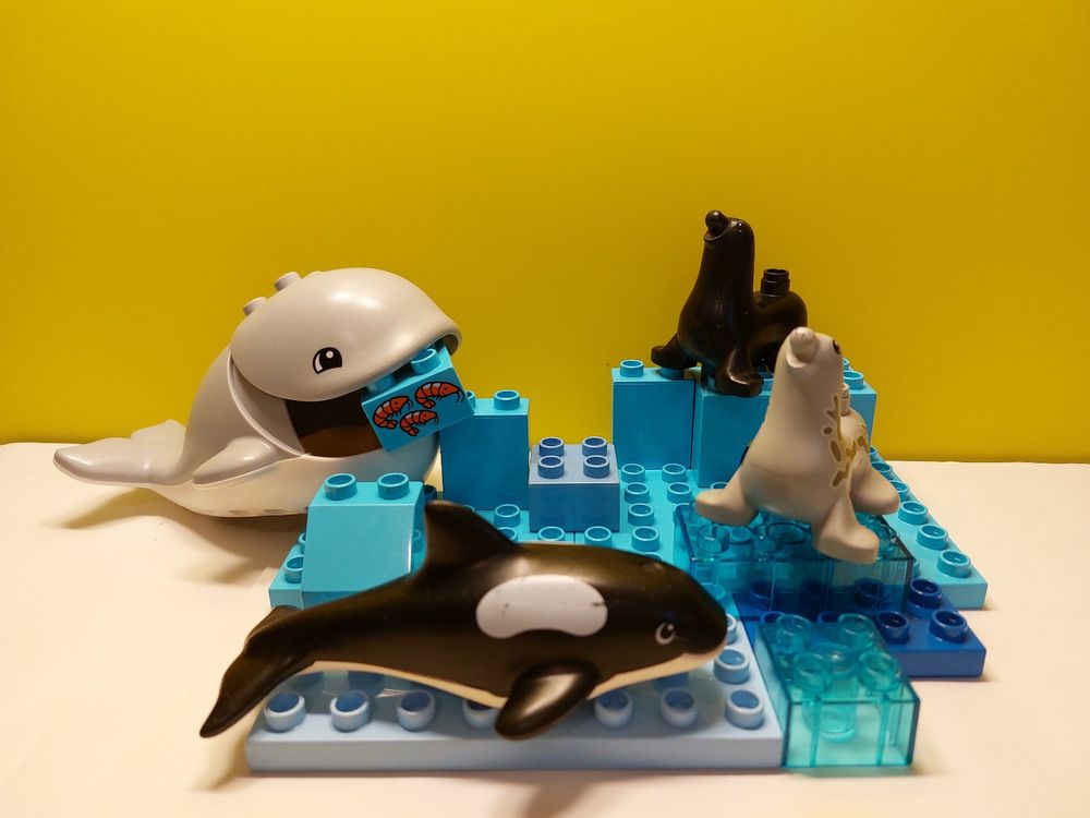 Lego Duplo Wassertiere (Wal, Orca, 2 Seehunde) | Kaufen auf Ricardo