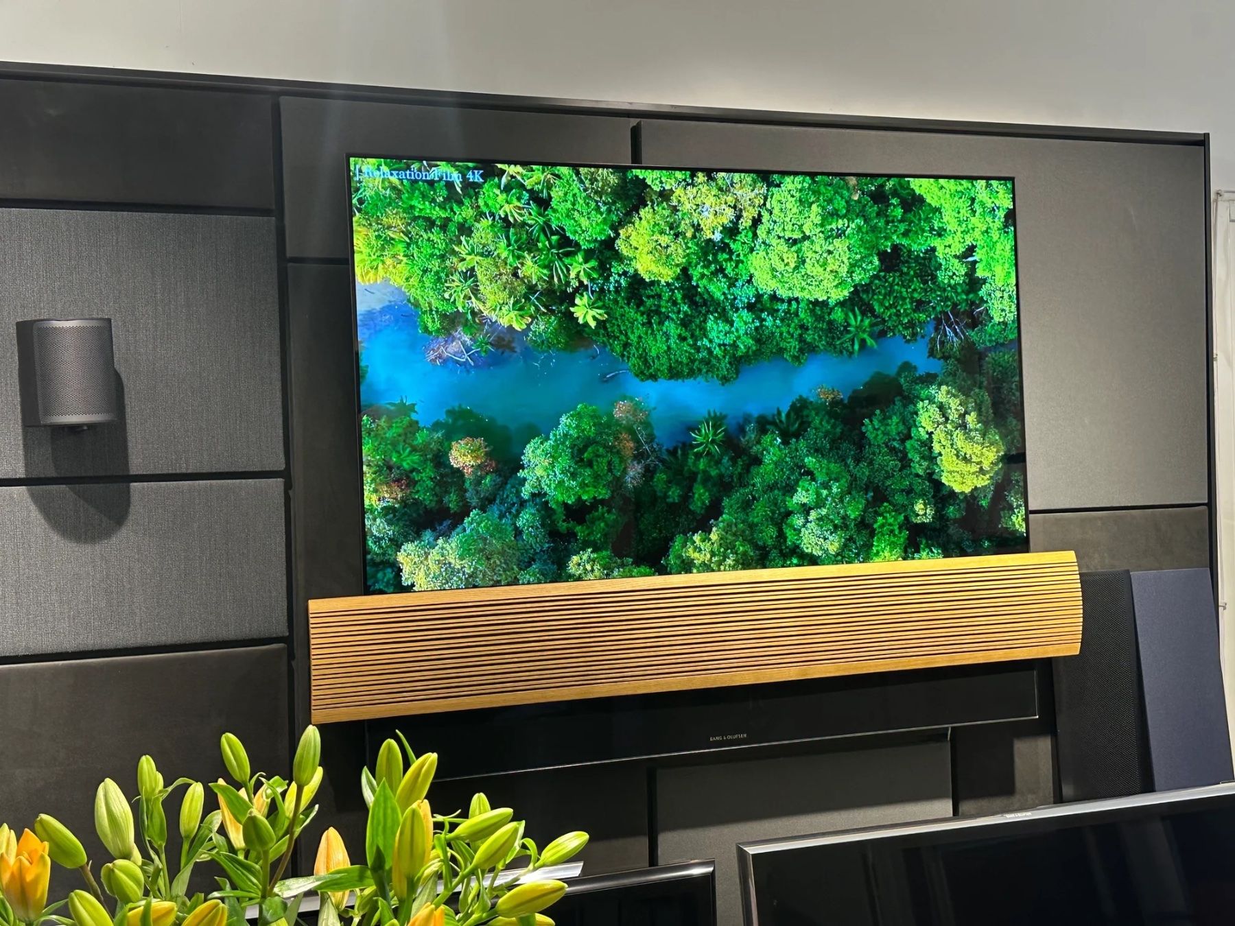 Bang Olufsen BeoVision Eclipse 65" OLED-Smart TV (Gebraucht) in Luzern ...