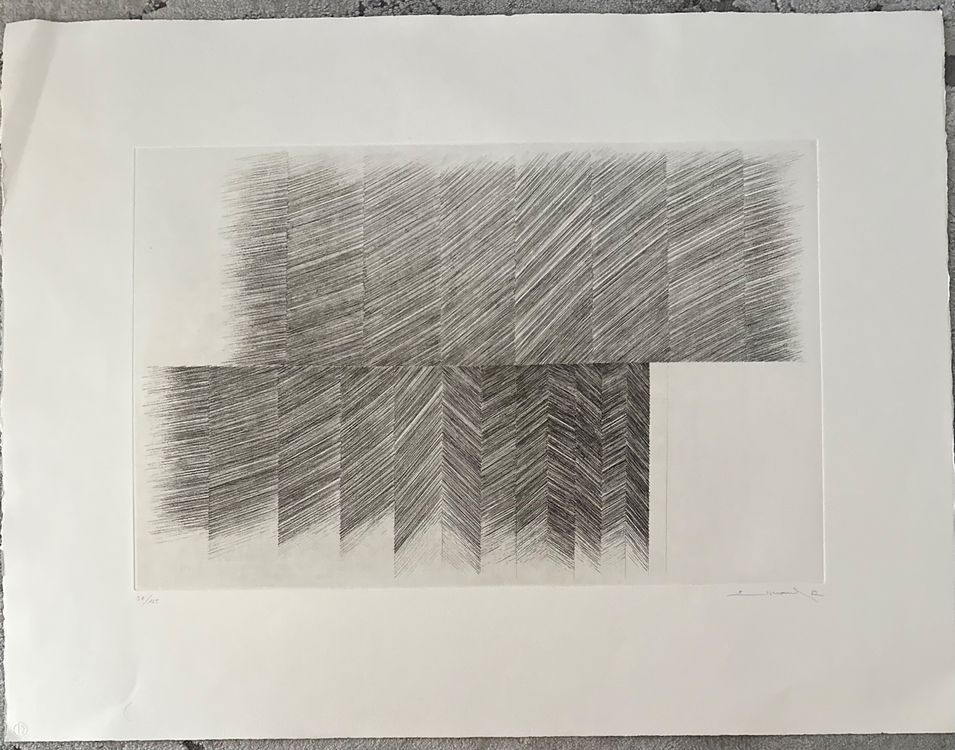 Interessante moderne Radierung Unl Sig (Gebraucht) in Hochdorf für CHF 10 – mit Lieferung auf ...