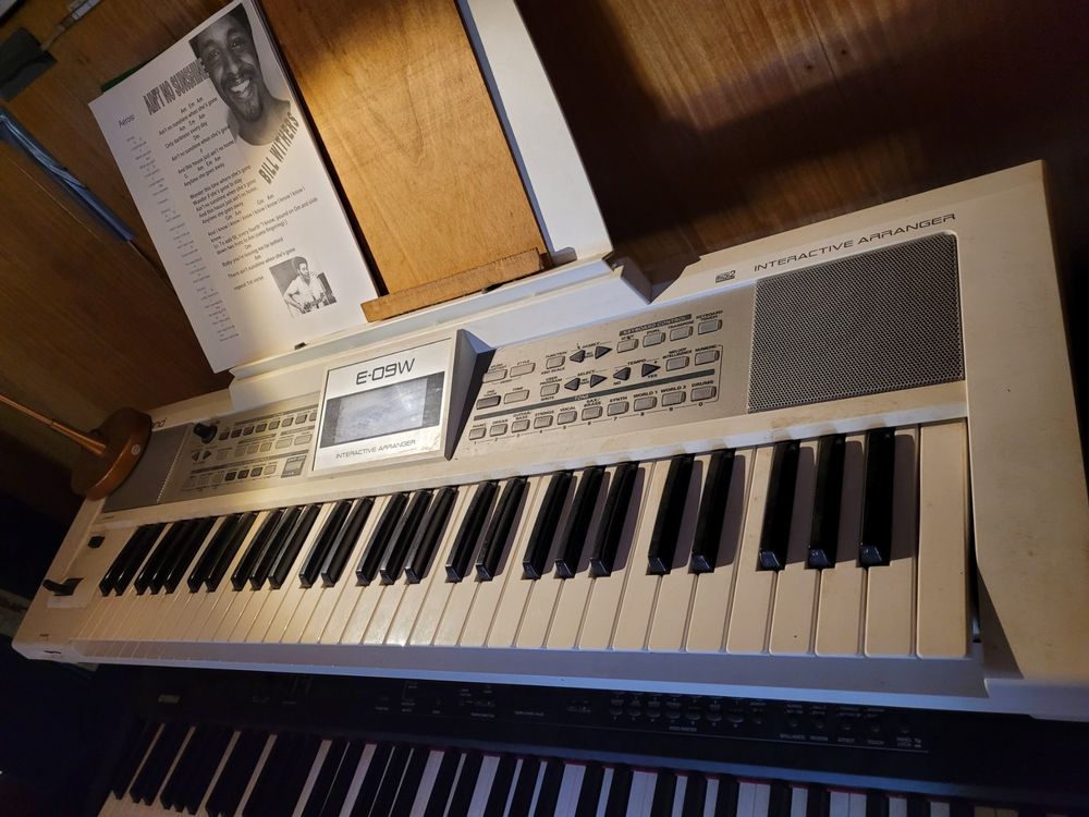 Roland E-09W Interactive Arranger Keyboard (Gebraucht) in Othmarsingen ...