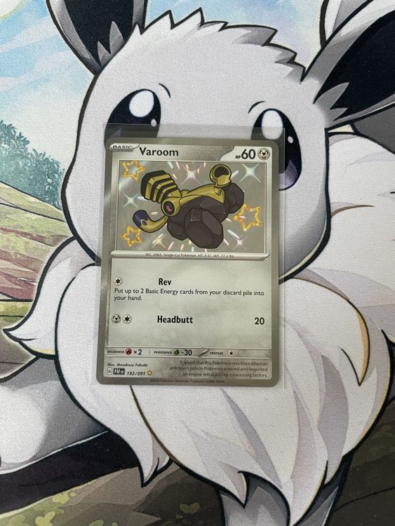 Pokemon Karten SHINY Varoom Paldean Fates EN (Neu (gemäss Beschreibung ...