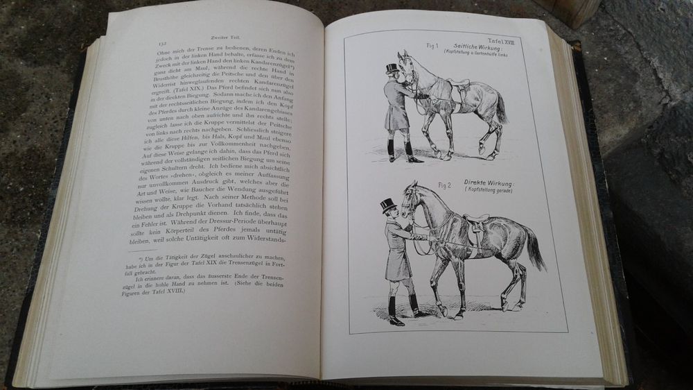 antik Buch Dressur & Reitkunst 1905 James Fillis (Gebraucht) in ...