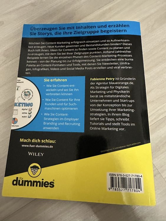 Anleihe Erklarung Fur Dummies