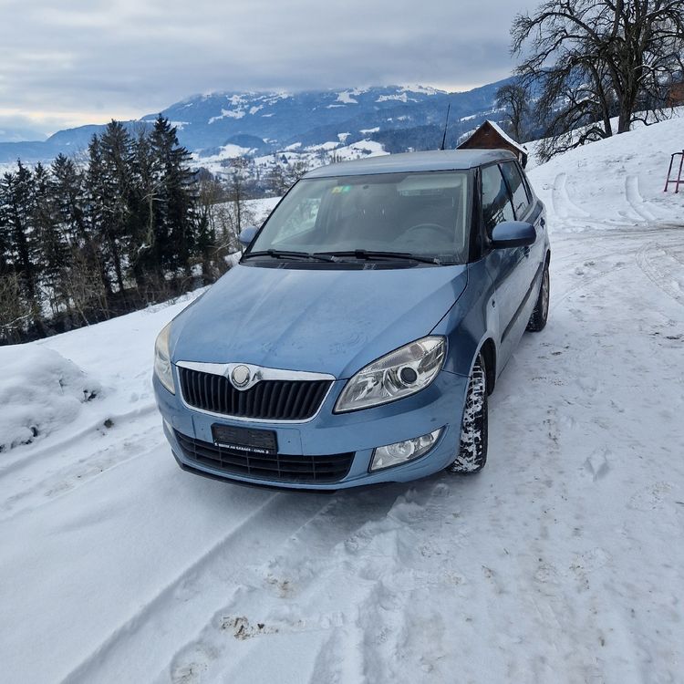 Schne Skoda Fabia 12 Tsi Ebenbild