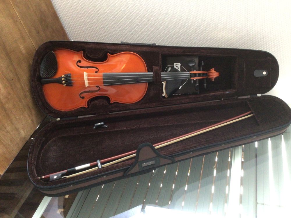 Violine, Stentor, für Anfänger, neuwertig | Kaufen auf Ricardo